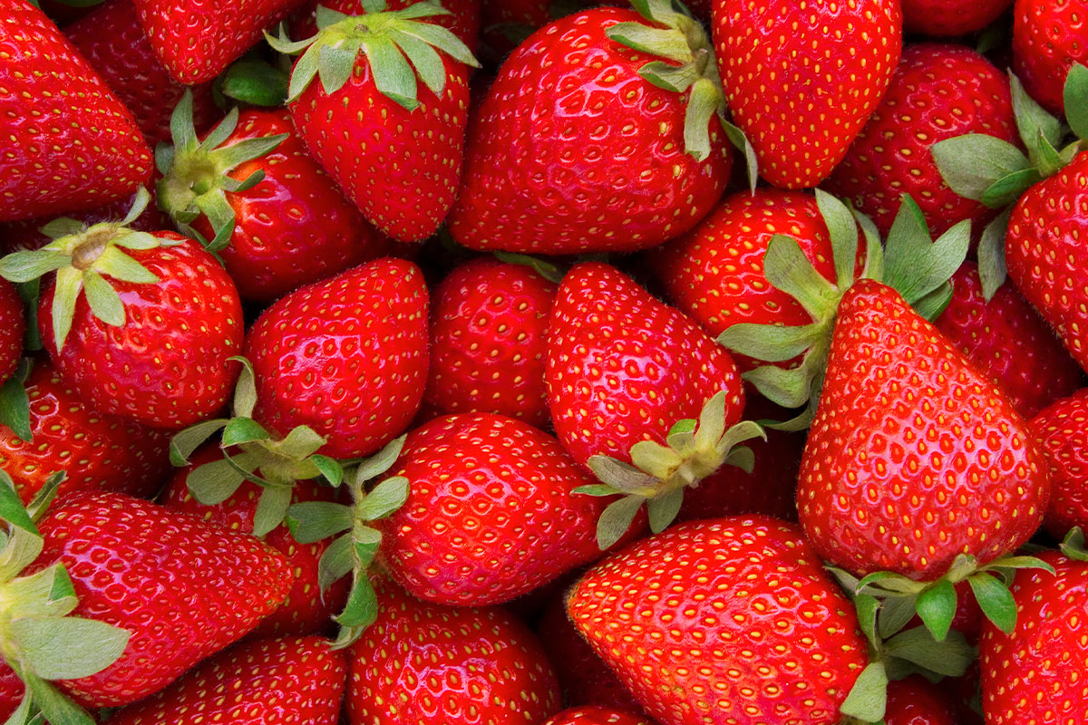 Fragola: curiosità, benefici e dolci ricette - Vallé Italia